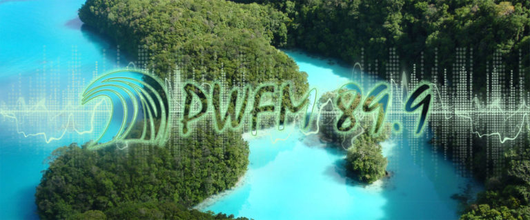PVA: Palau Online Entry Form